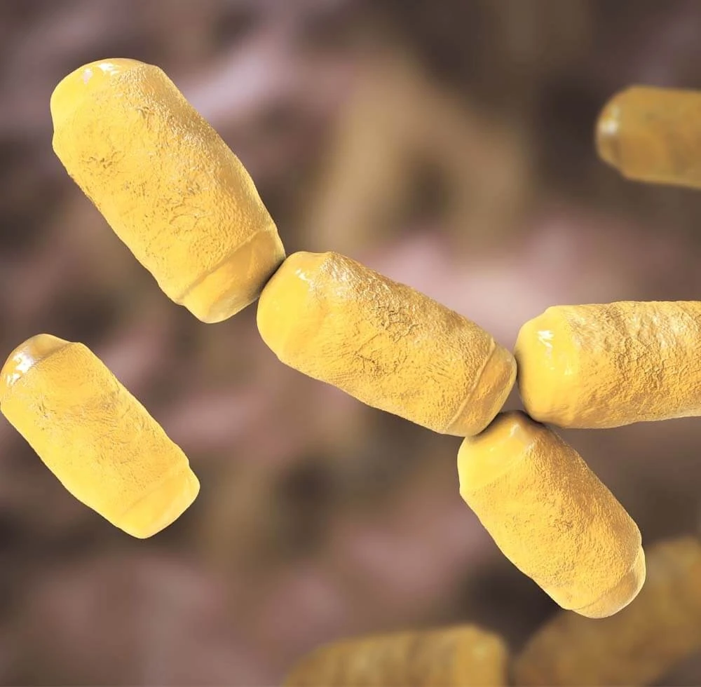 Archaea | Cards, the Universe and Everything Wiki | Fandom