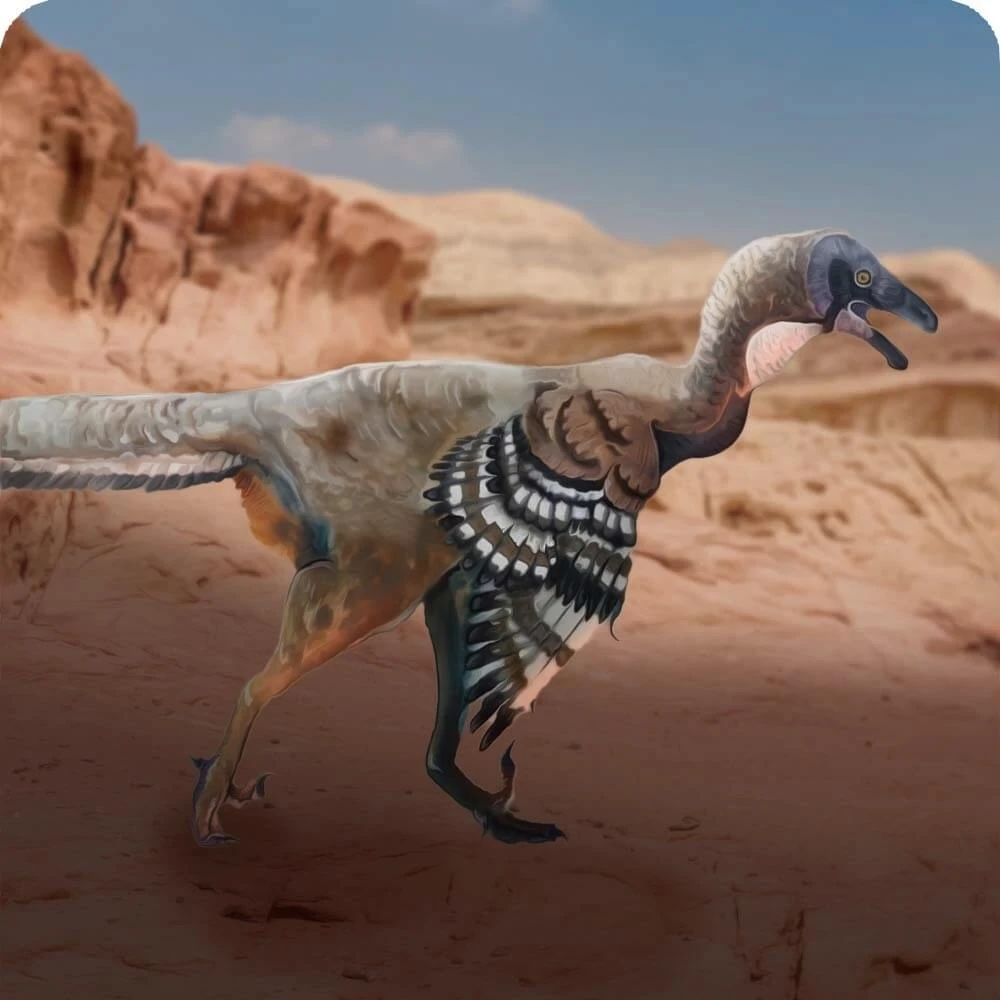 Jeholornis | Cards, the Universe and Everything Wiki | Fandom