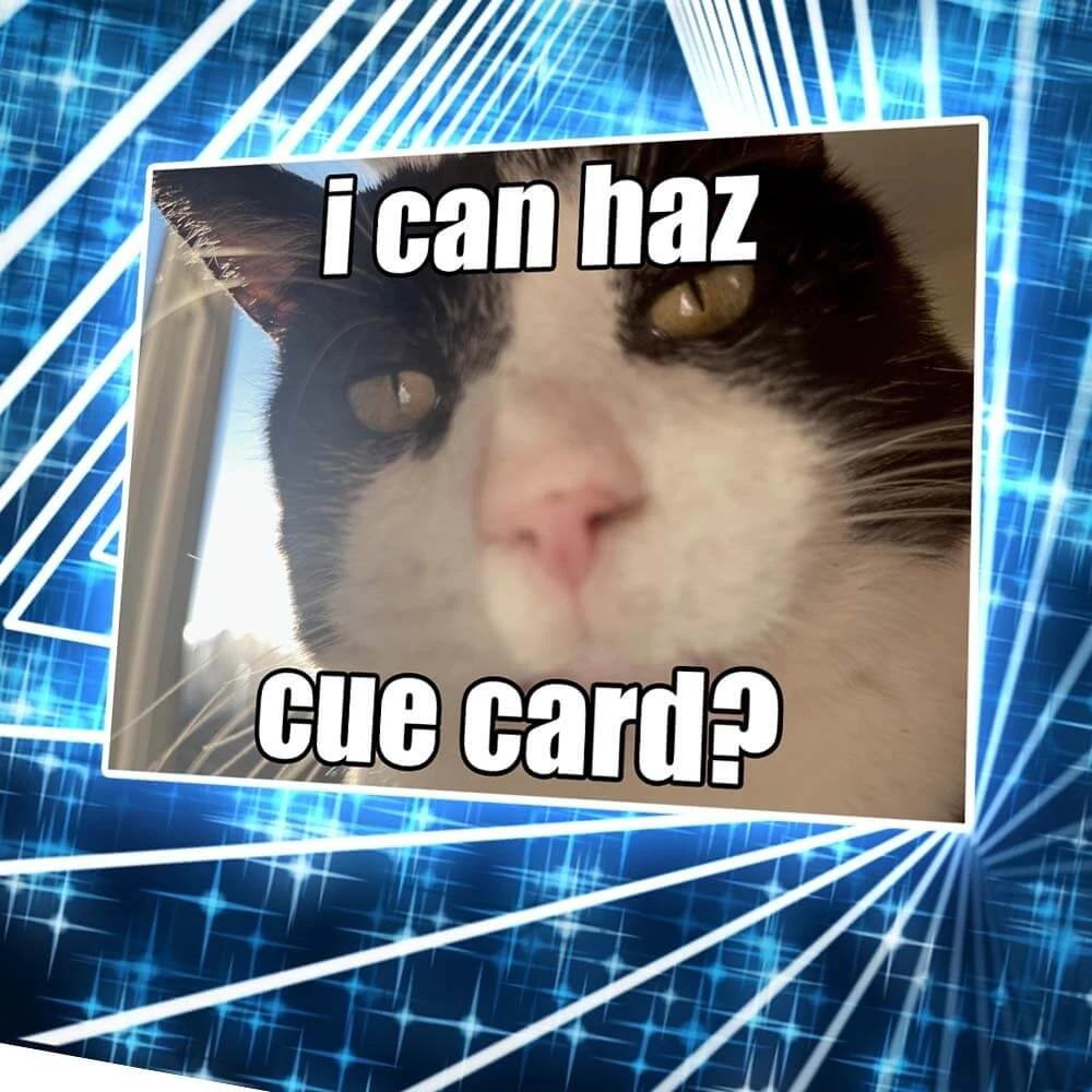 Lolcat | Cards, the Universe and Everything Wiki | Fandom