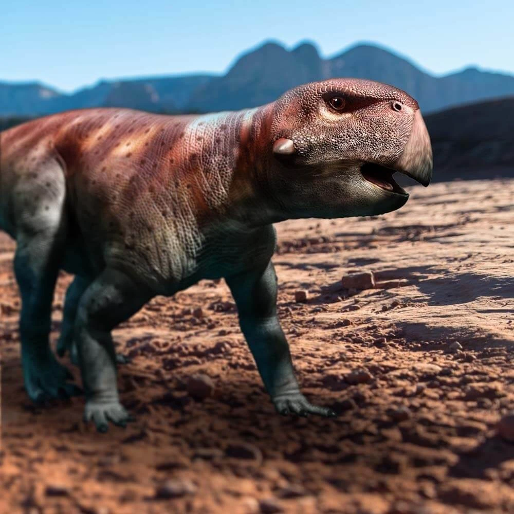 Psittacosaurus | Cards, the Universe and Everything Wiki | Fandom