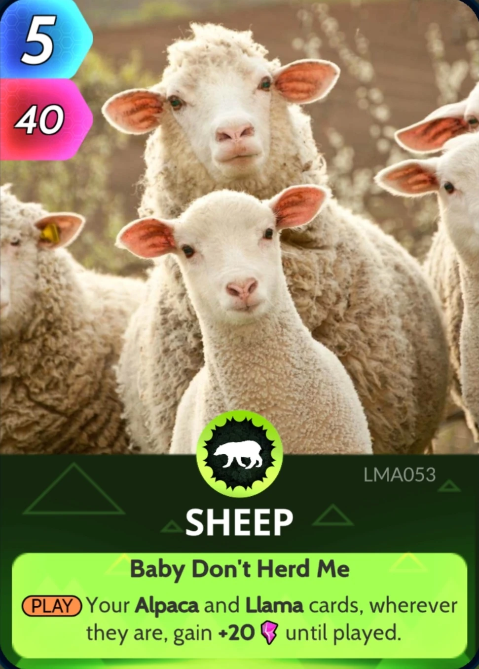 Sheep | Cards, the Universe and Everything Wiki | Fandom