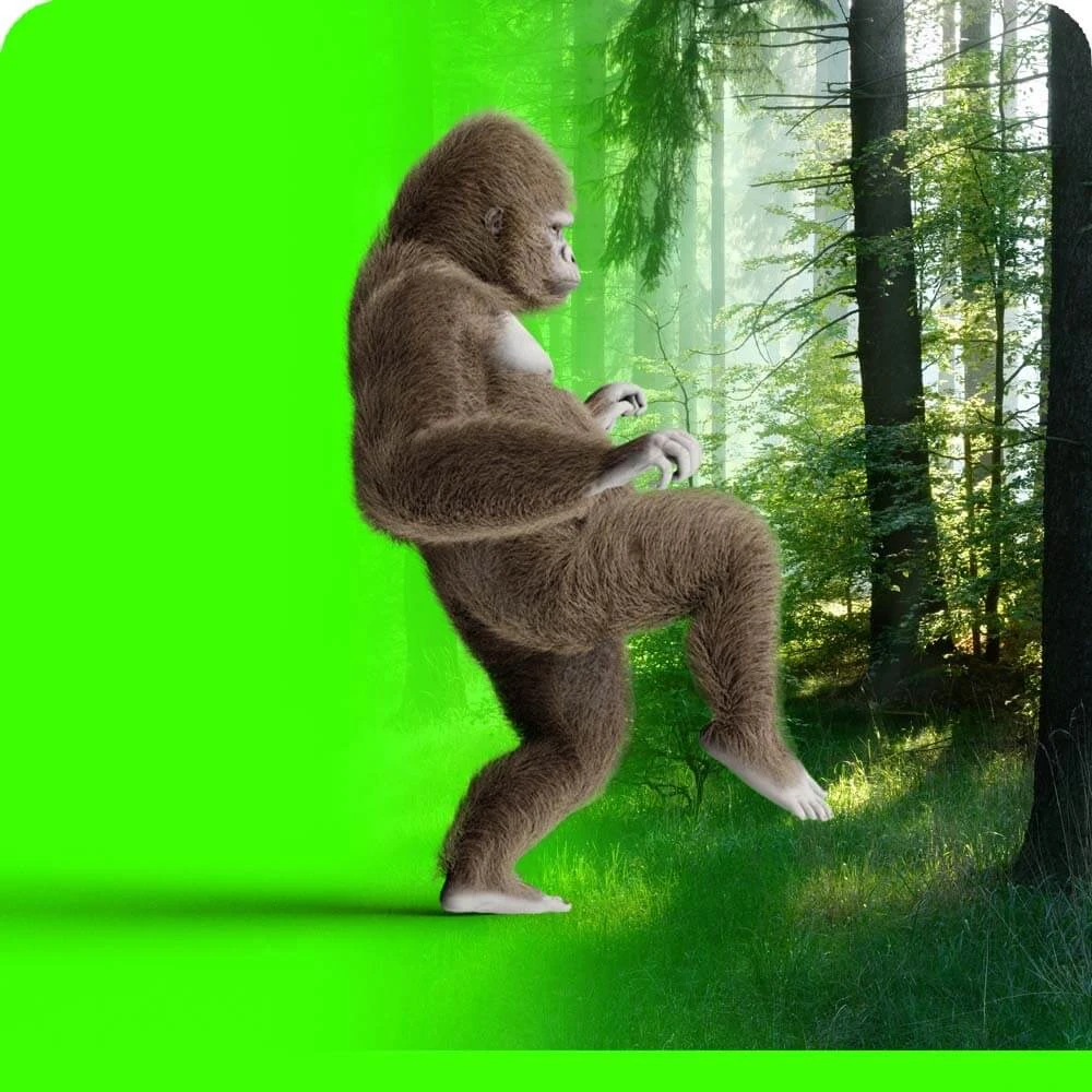 Green Screen | Cards, the Universe and Everything Wiki | Fandom