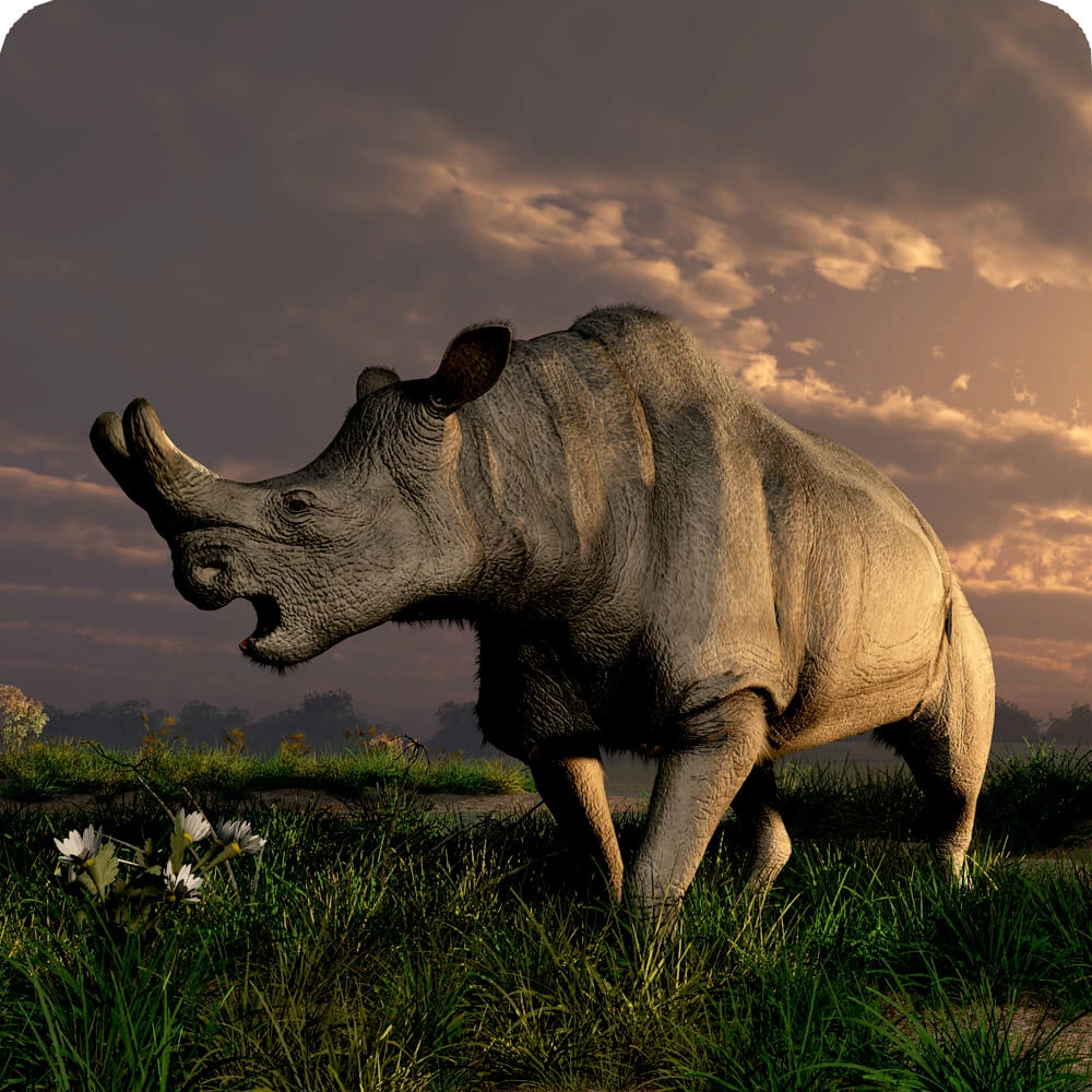 Megacerops | Cards, the Universe and Everything Wiki | Fandom