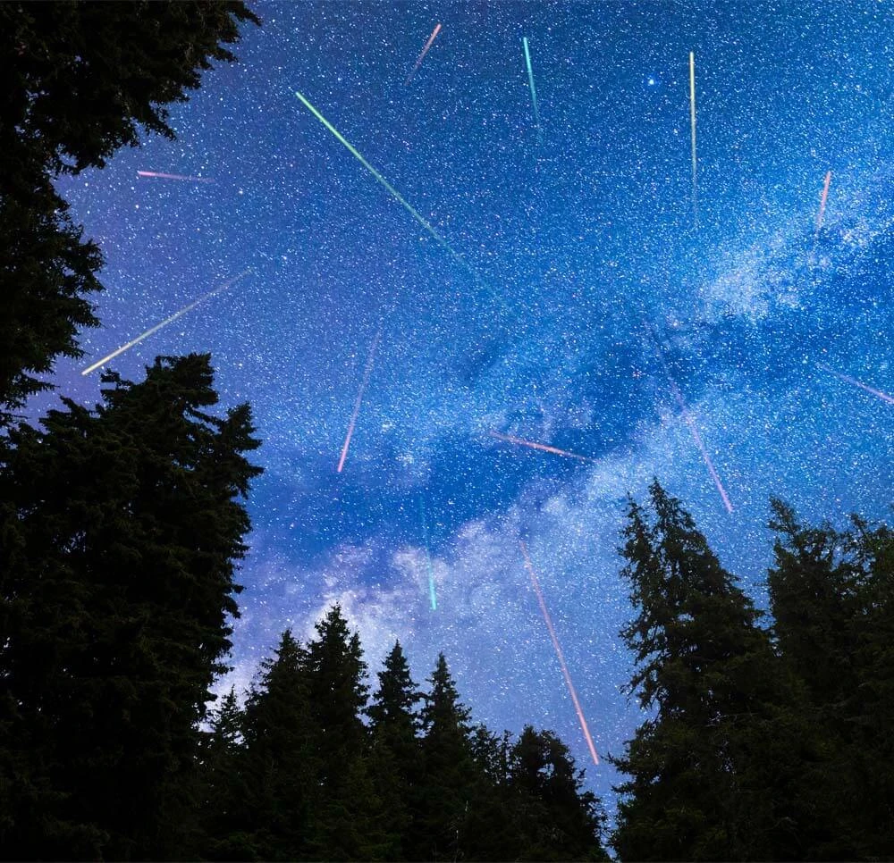 Perseids | Cards, the Universe and Everything Wiki | Fandom