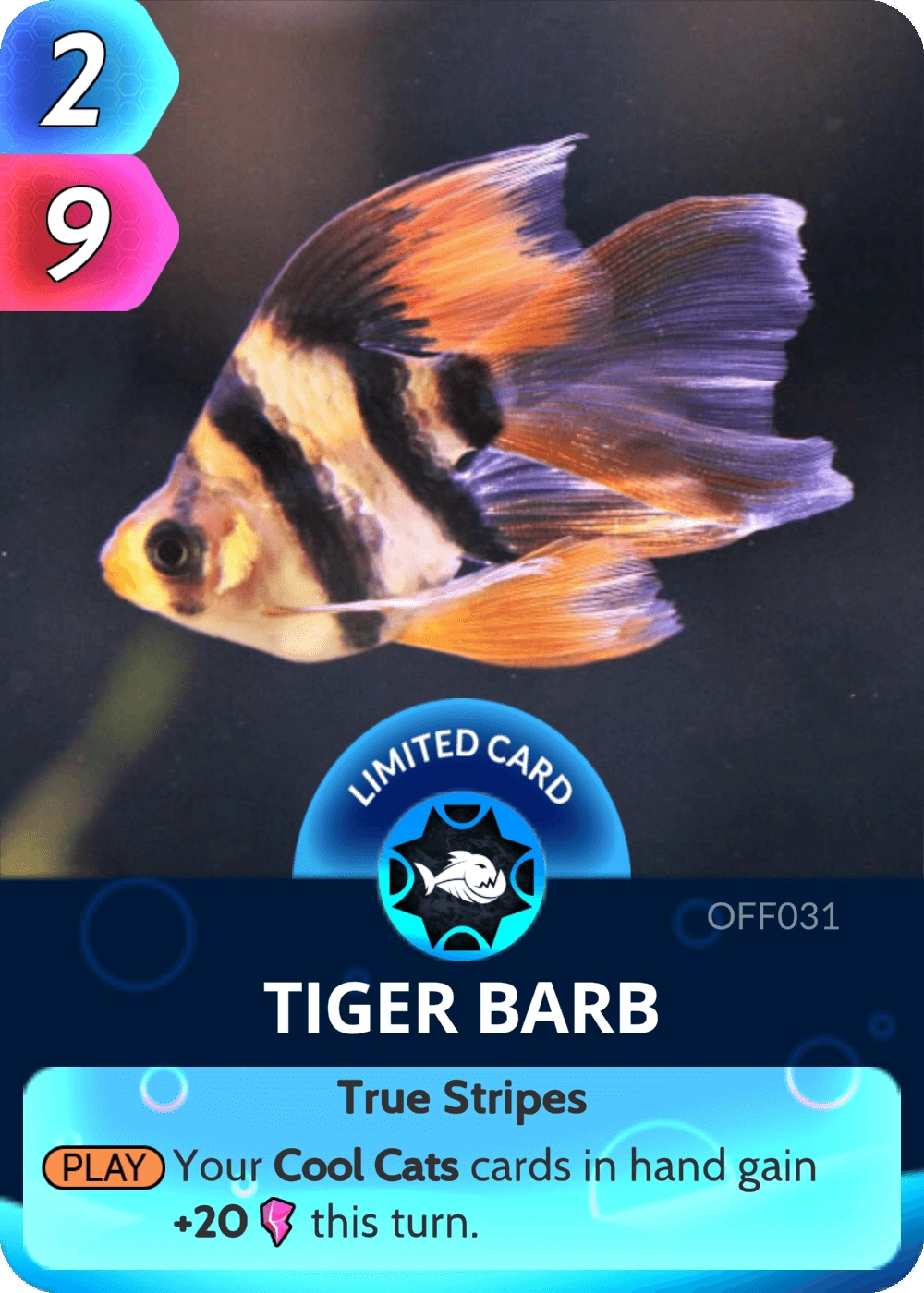 Tiger Barb | Cards, the Universe and Everything Wiki | Fandom