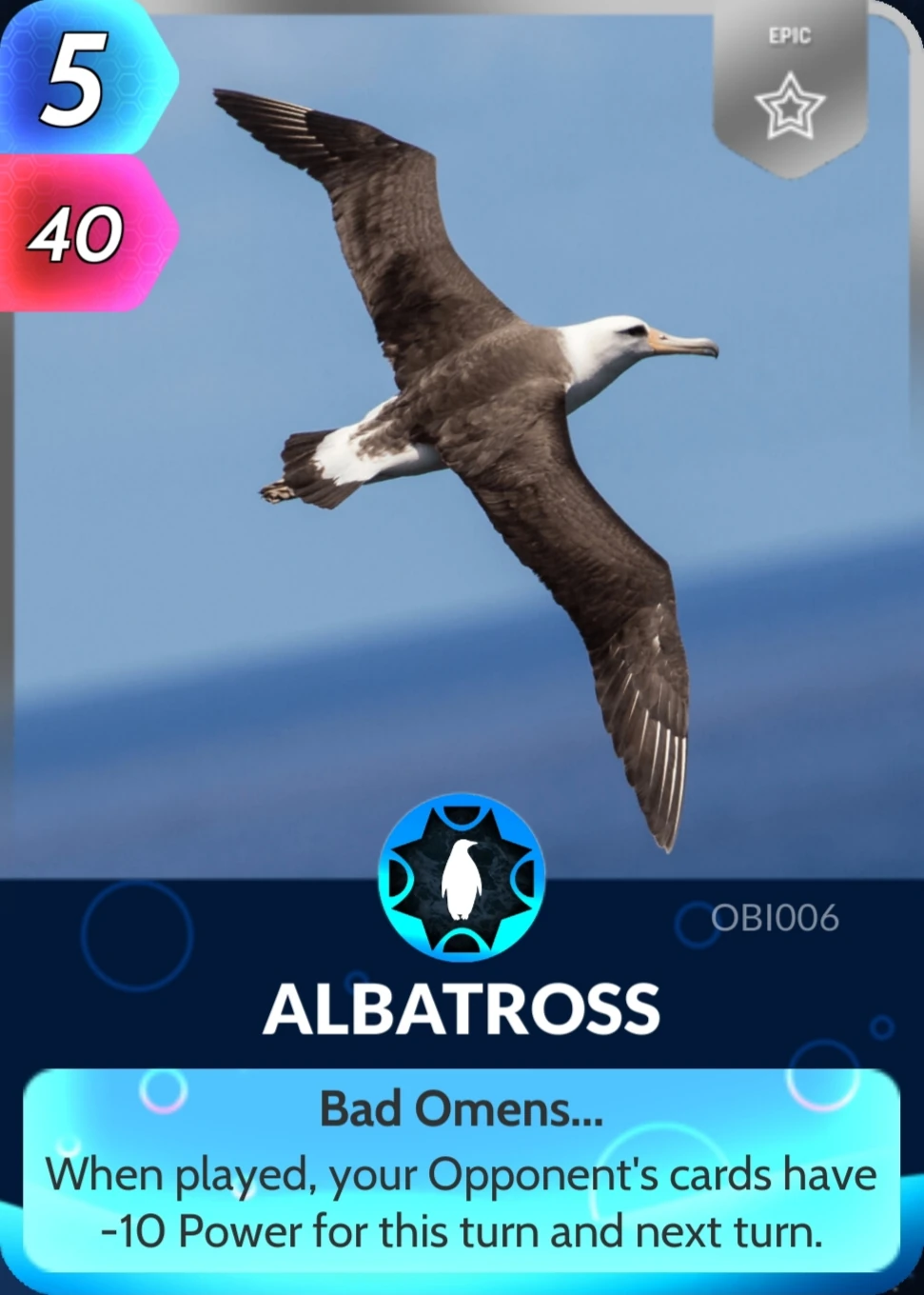 Albatross | Cards, the Universe and Everything Wiki | Fandom