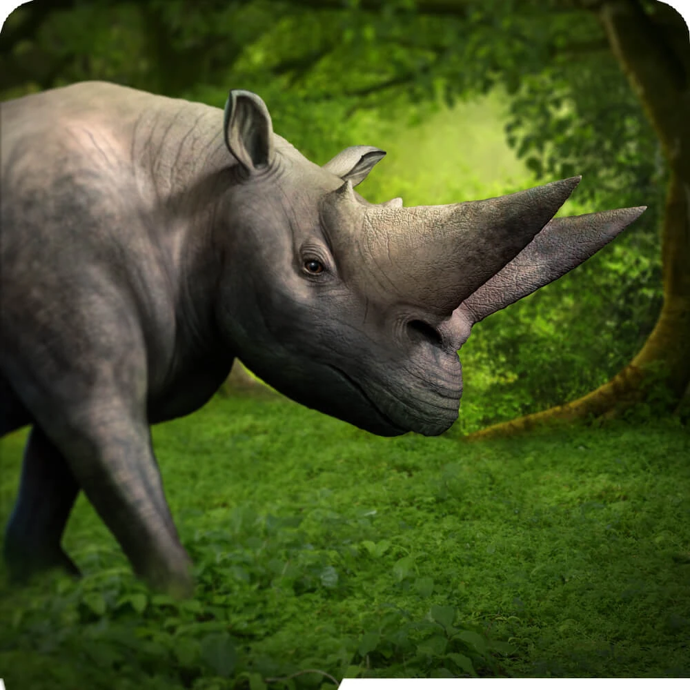 Arsinoitherium | Cards, the Universe and Everything Wiki | Fandom