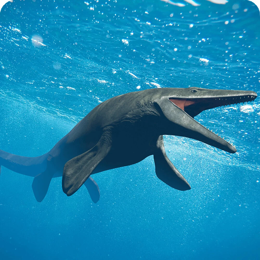 Mosasaurus | Cards, the Universe and Everything Wiki | Fandom