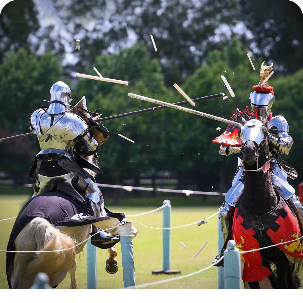 Jousting | Cards, the Universe and Everything Wiki | Fandom