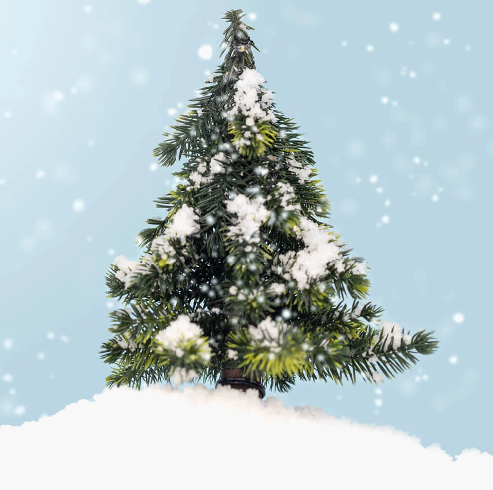 Asbestos Snow | Cards, the Universe and Everything Wiki | Fandom