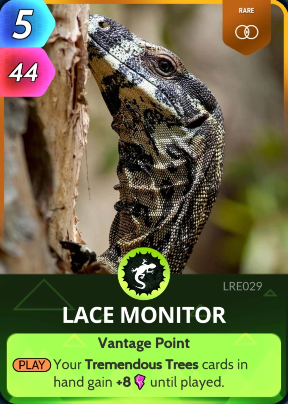 Lace Monitor | Cards, the Universe and Everything Wiki | Fandom
