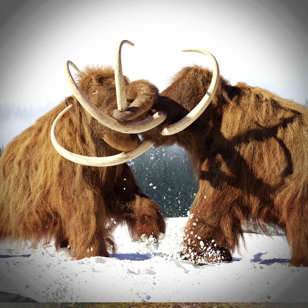 Mastodon | Cards, the Universe and Everything Wiki | Fandom