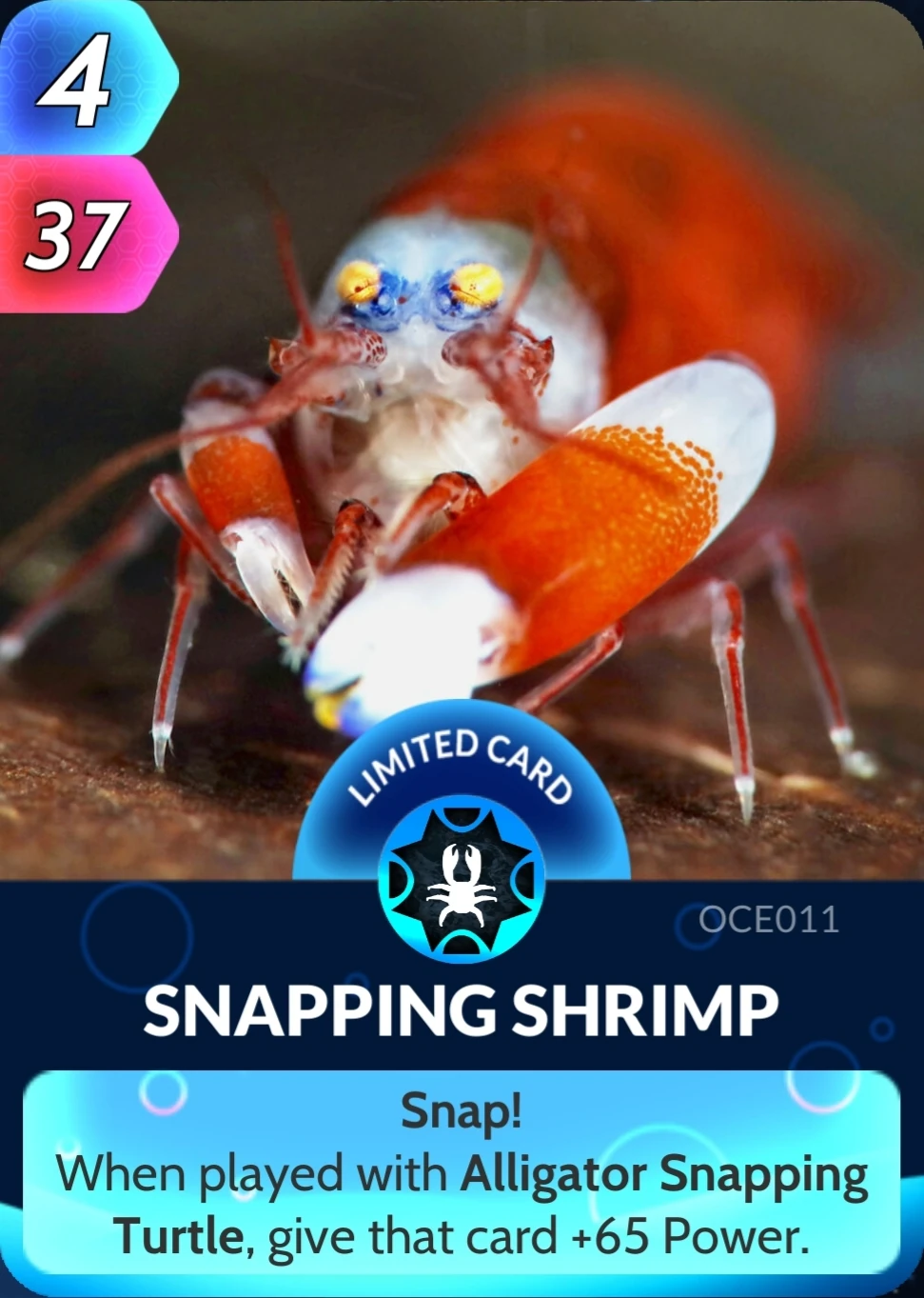 Snapping Shrimp | Cards, the Universe and Everything Wiki | Fandom