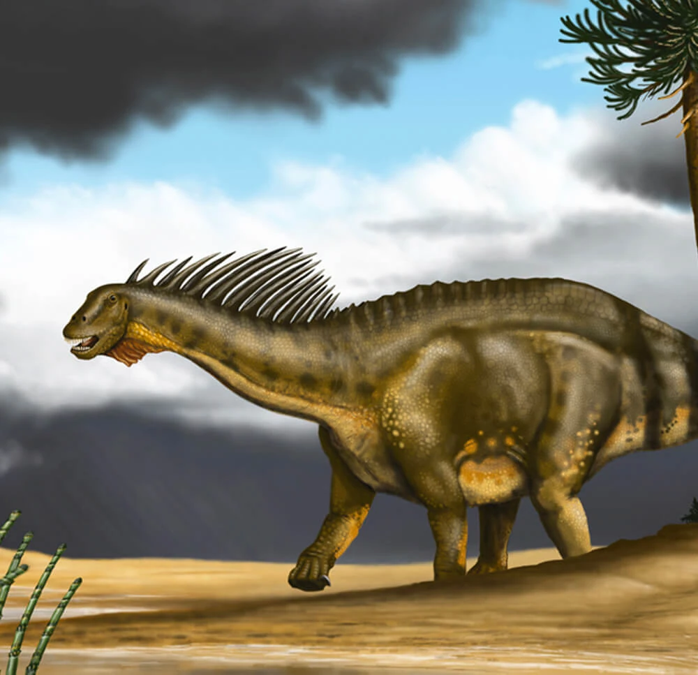 Amargasaurus | Cards, the Universe and Everything Wiki | Fandom