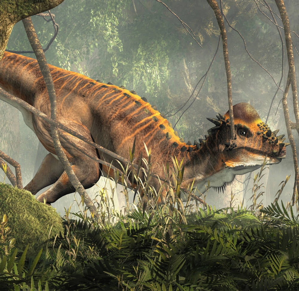 Pachycephalosaurus | Cards, the Universe and Everything Wiki | Fandom