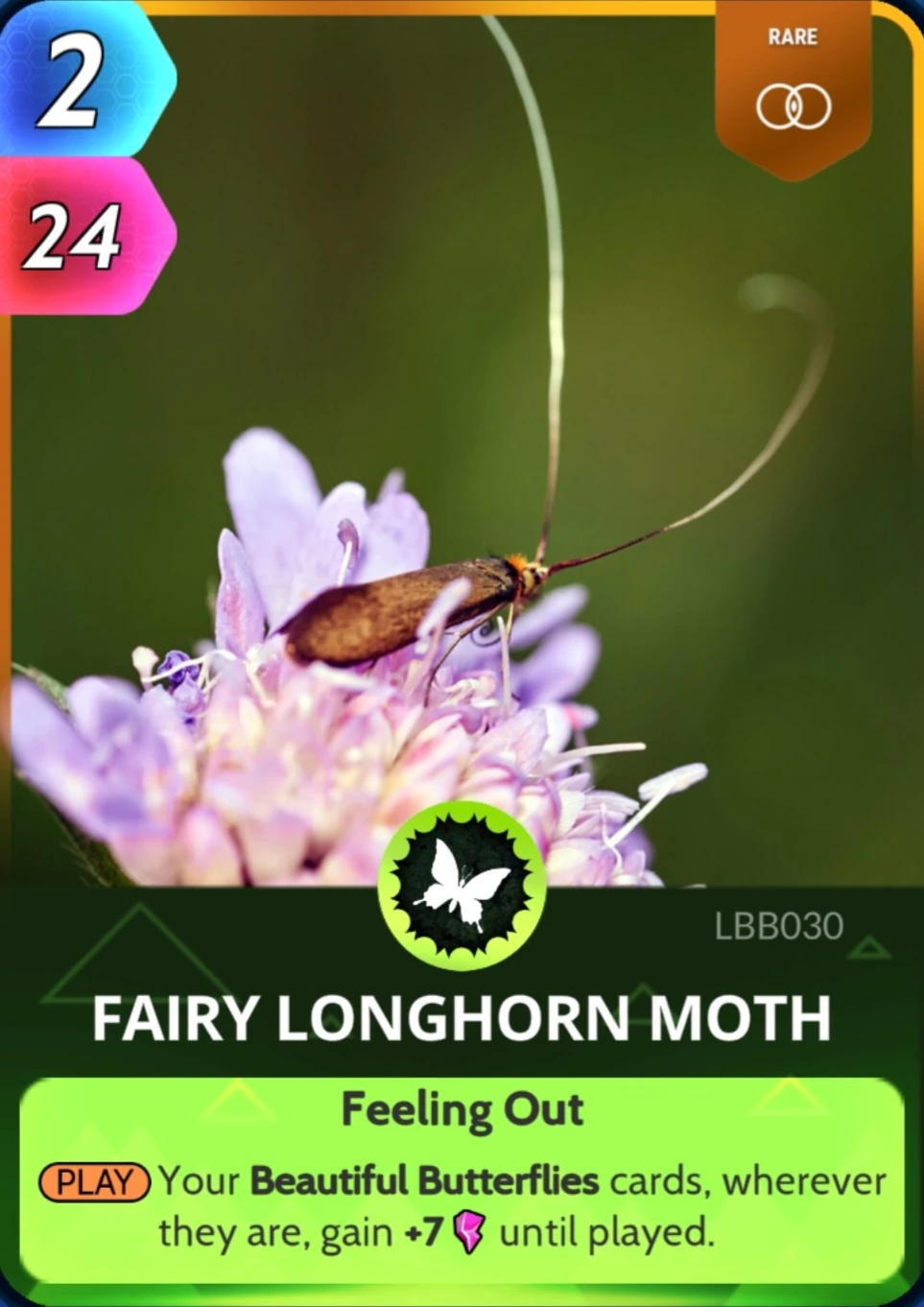 Fairy Longhorn Moth | Cards, the Universe and Everything Wiki | Fandom