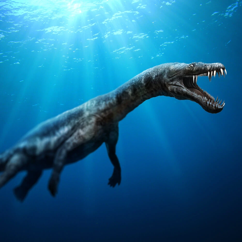 Nothosaurus | Cards, the Universe and Everything Wiki | Fandom