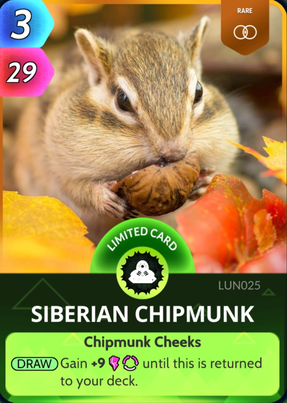 Siberian Chipmunk | Cards, the Universe and Everything Wiki | Fandom