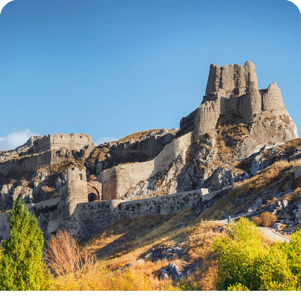 Van Fortress | Cards, the Universe and Everything Wiki | Fandom