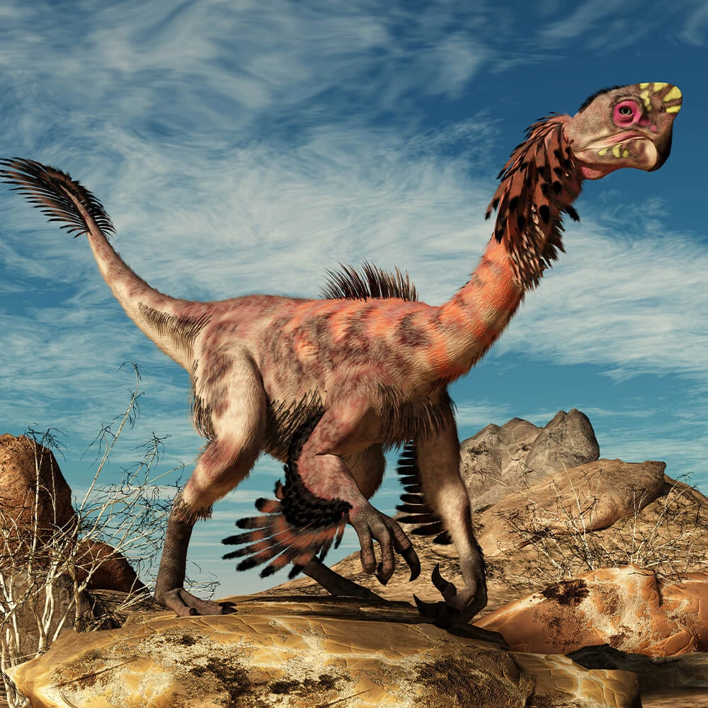 Citipati | Cards, the Universe and Everything Wiki | Fandom