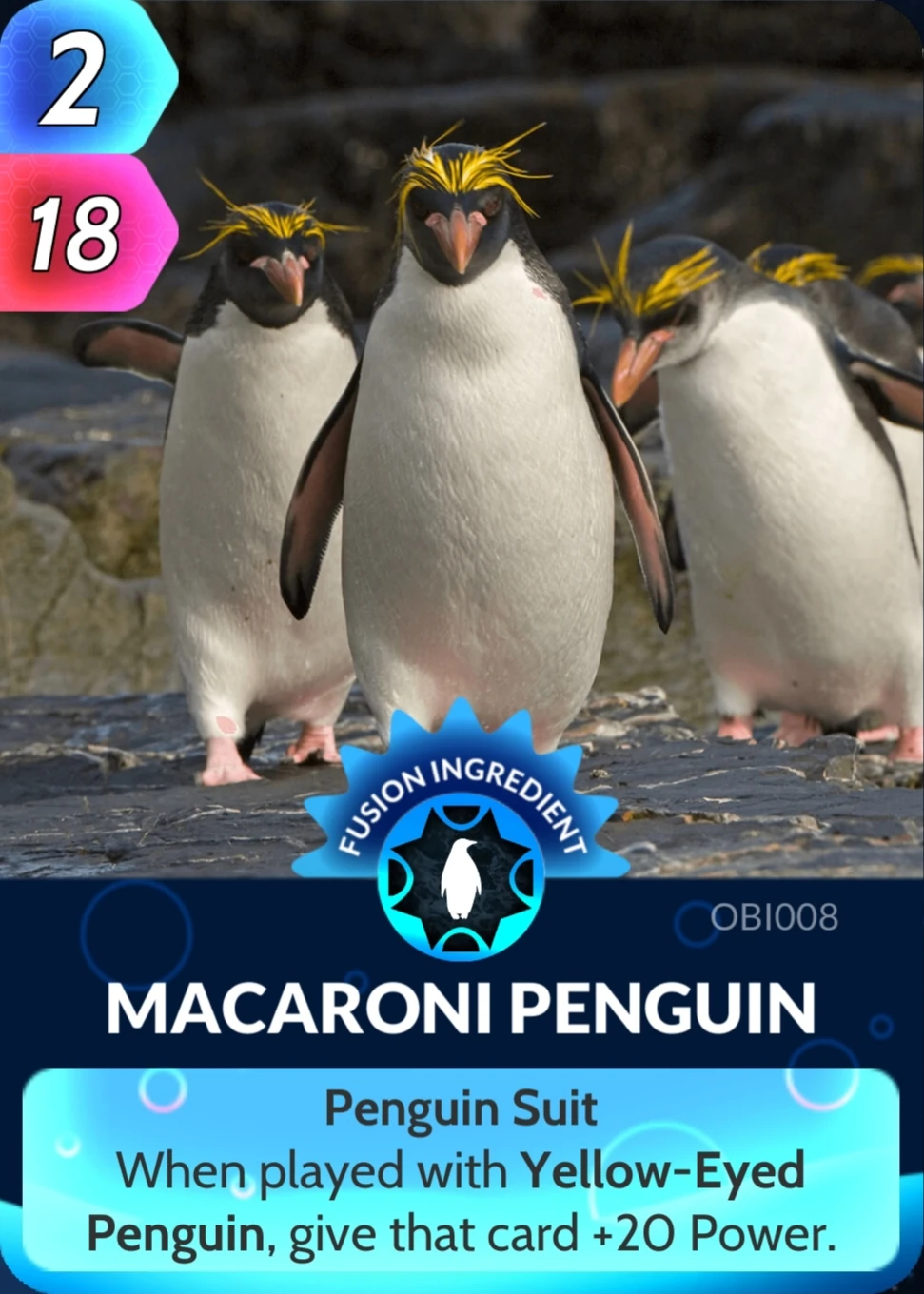 Macaroni Penguin | Cards, the Universe and Everything Wiki | Fandom