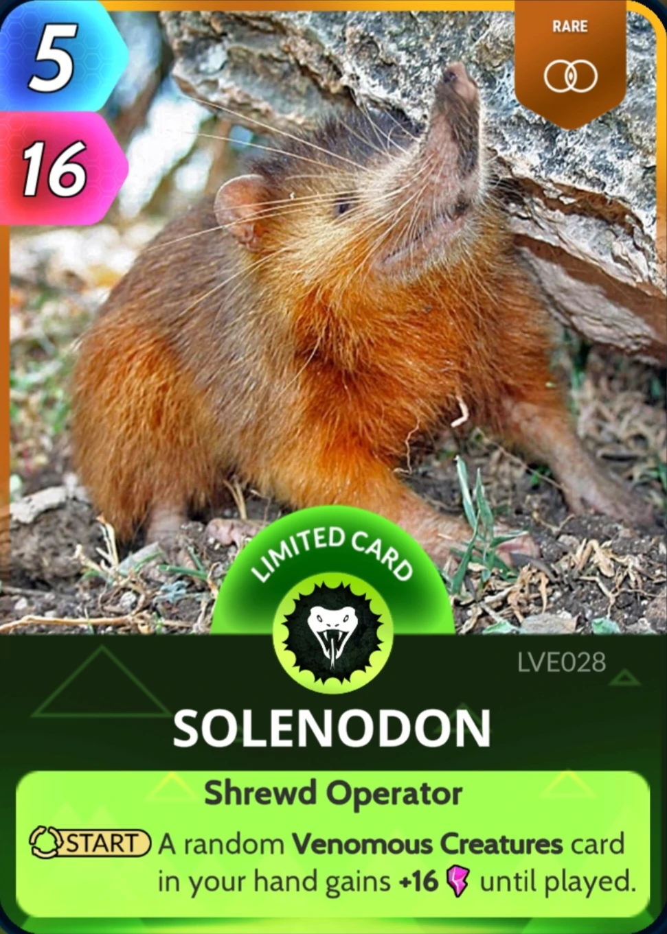Solenodon | Cards, the Universe and Everything Wiki | Fandom