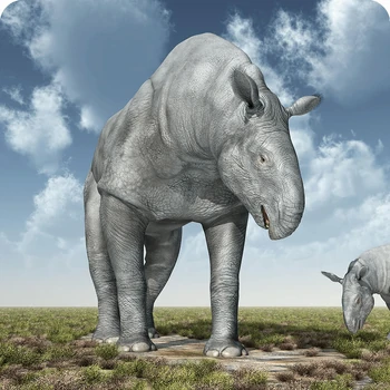 Paraceratherium | Cards, the Universe and Everything Wiki | Fandom