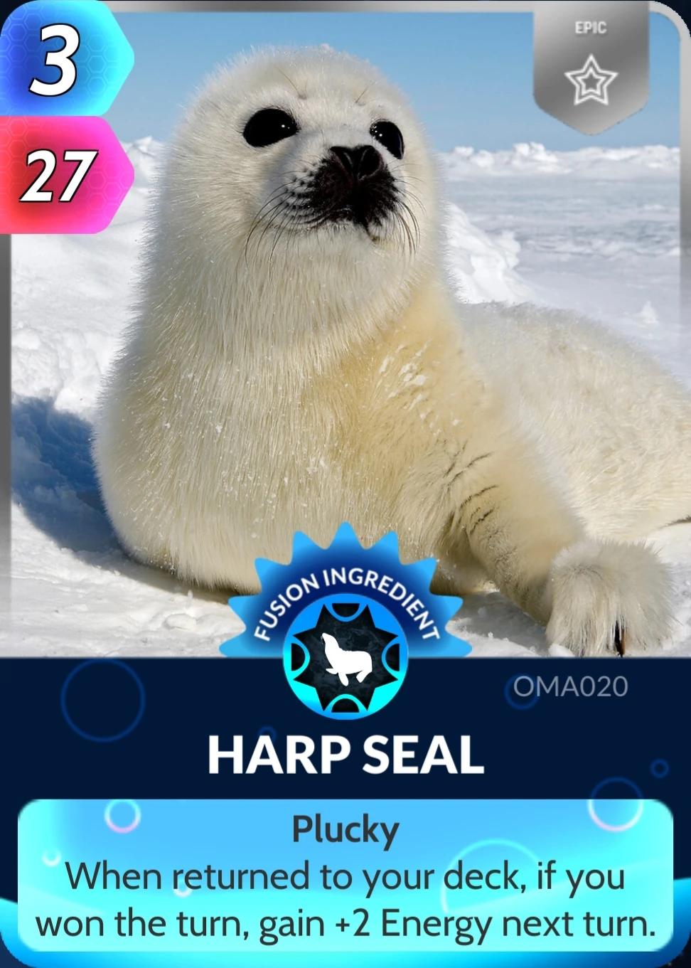 Harp Seal | Cards, the Universe and Everything Wiki | Fandom