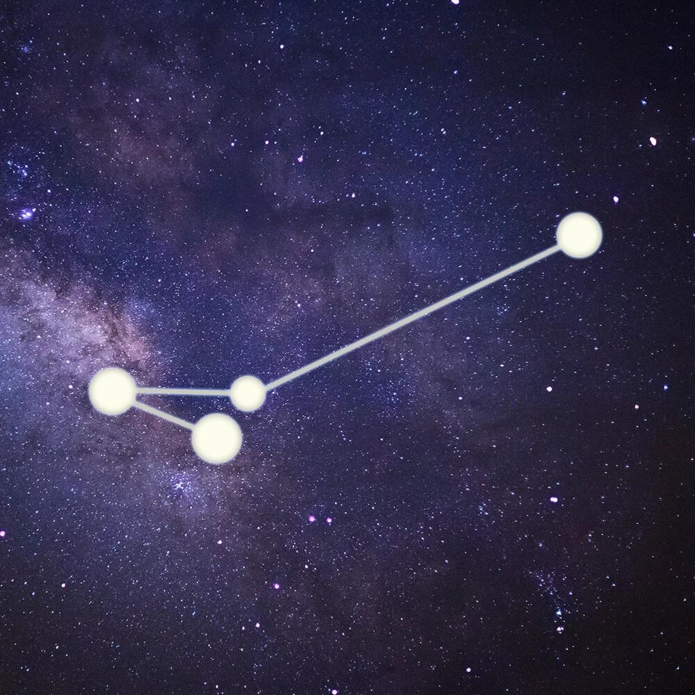 Apus | Cards, the Universe and Everything Wiki | Fandom