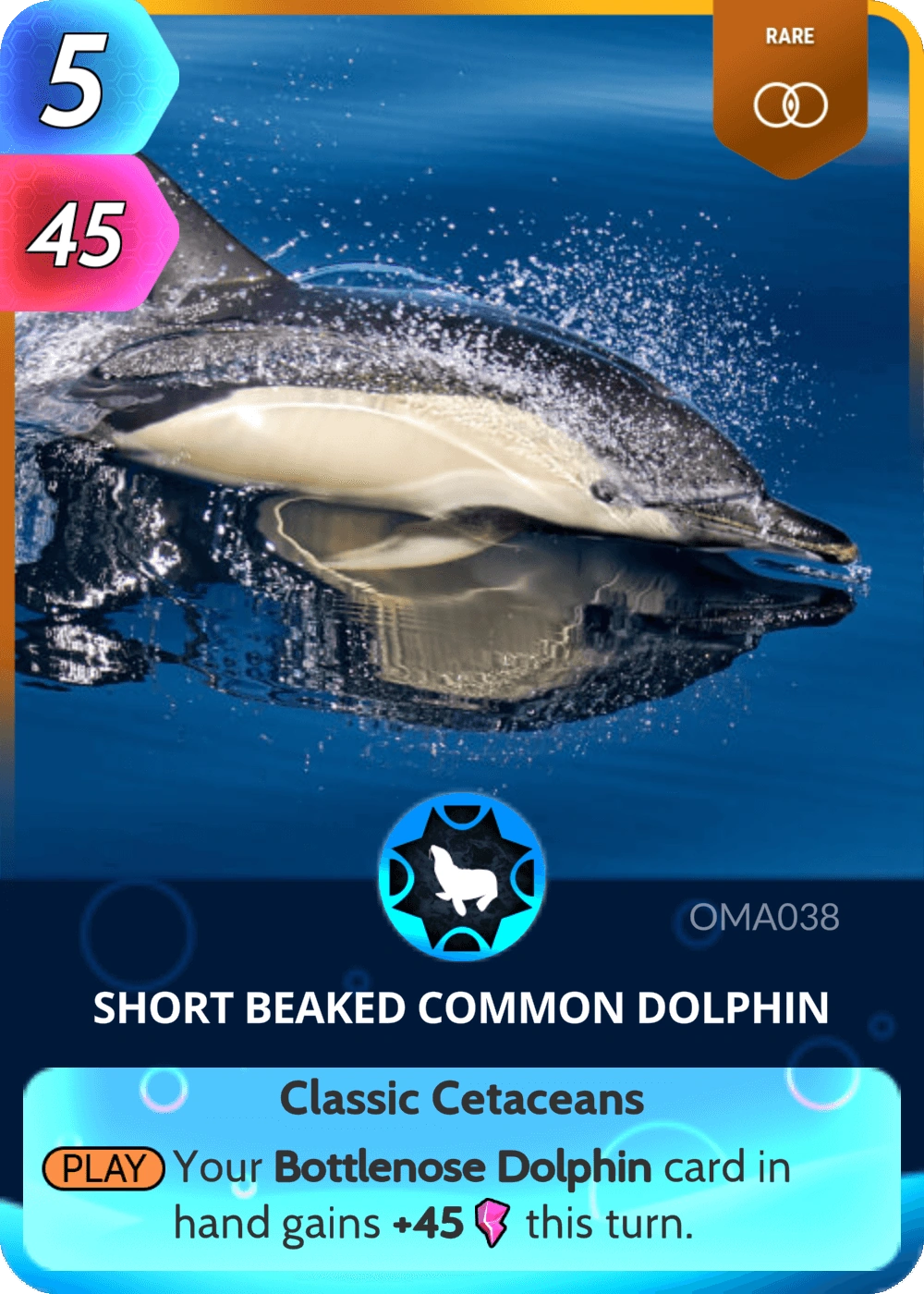 Short Beaked Common Dolphin | Cards, the Universe and Everything Wiki ...