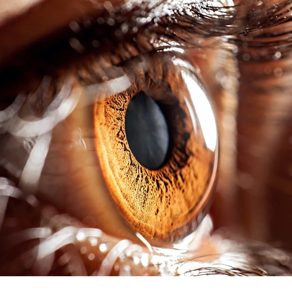 The Eye | Cards, the Universe and Everything Wiki | Fandom