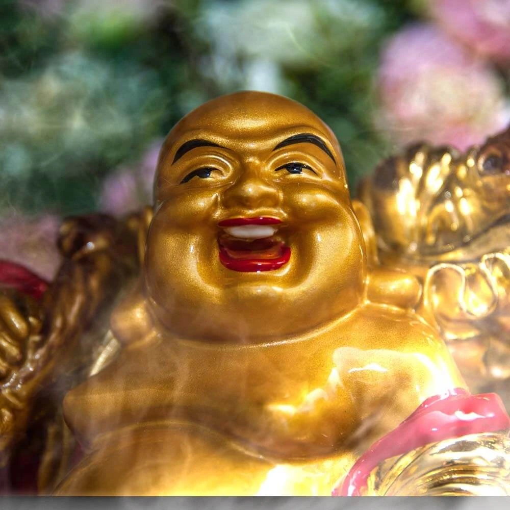 Budai | Cards, the Universe and Everything Wiki | Fandom