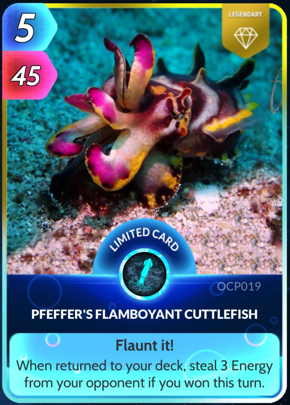 Pfeffer's Flamboyant Cuttlefish | Cards, the Universe and Everything ...