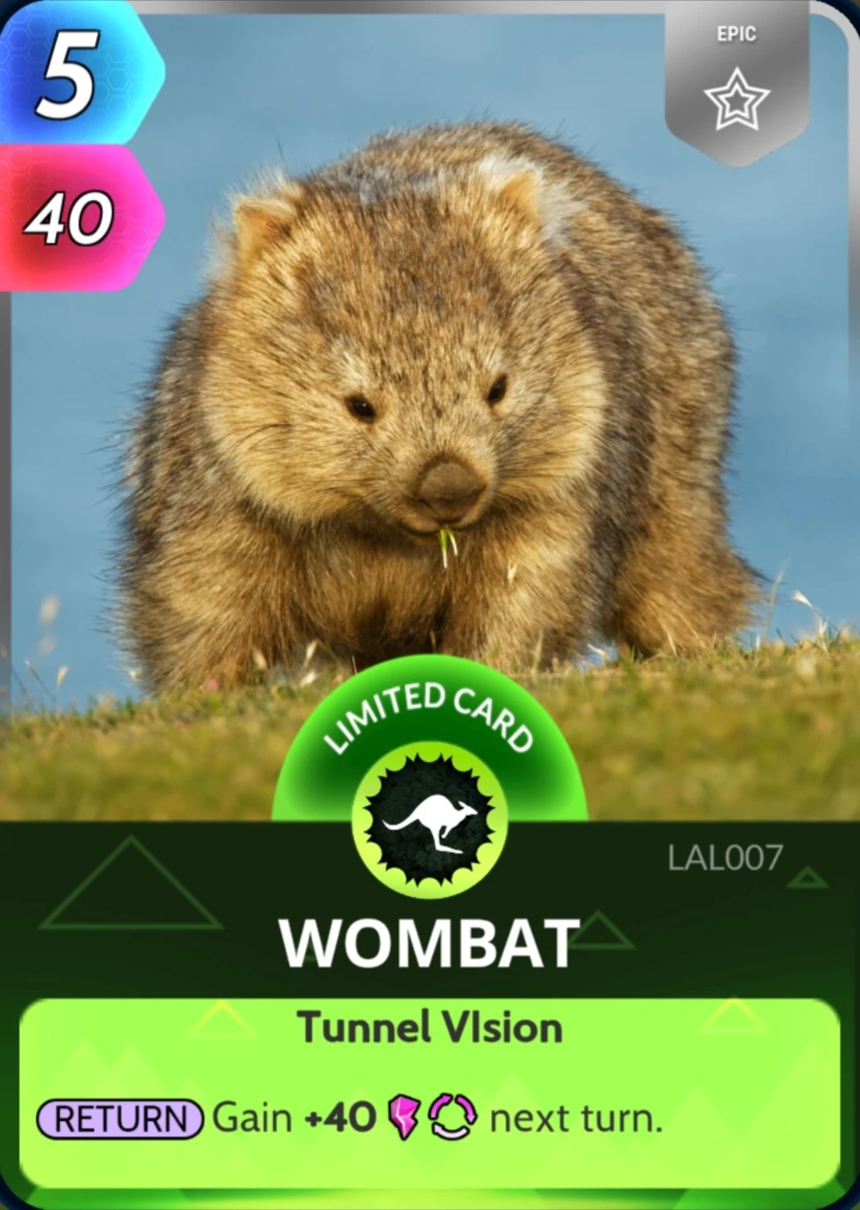 Wombat | Cards, the Universe and Everything Wiki | Fandom