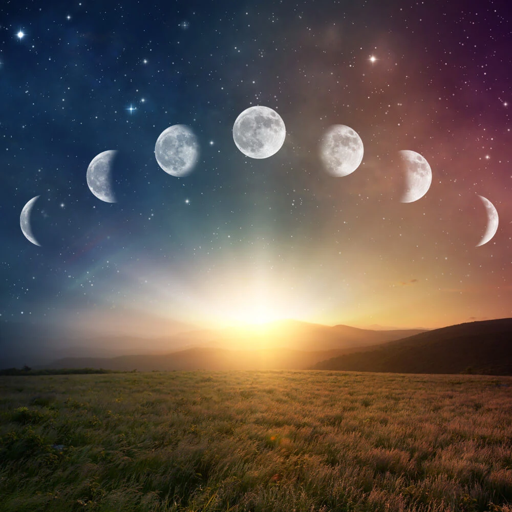 Warren Field | Cards, the Universe and Everything Wiki | Fandom