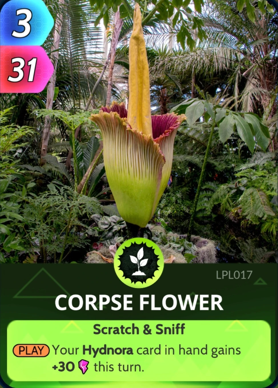 Corpse Flower | Cards, the Universe and Everything Wiki | Fandom