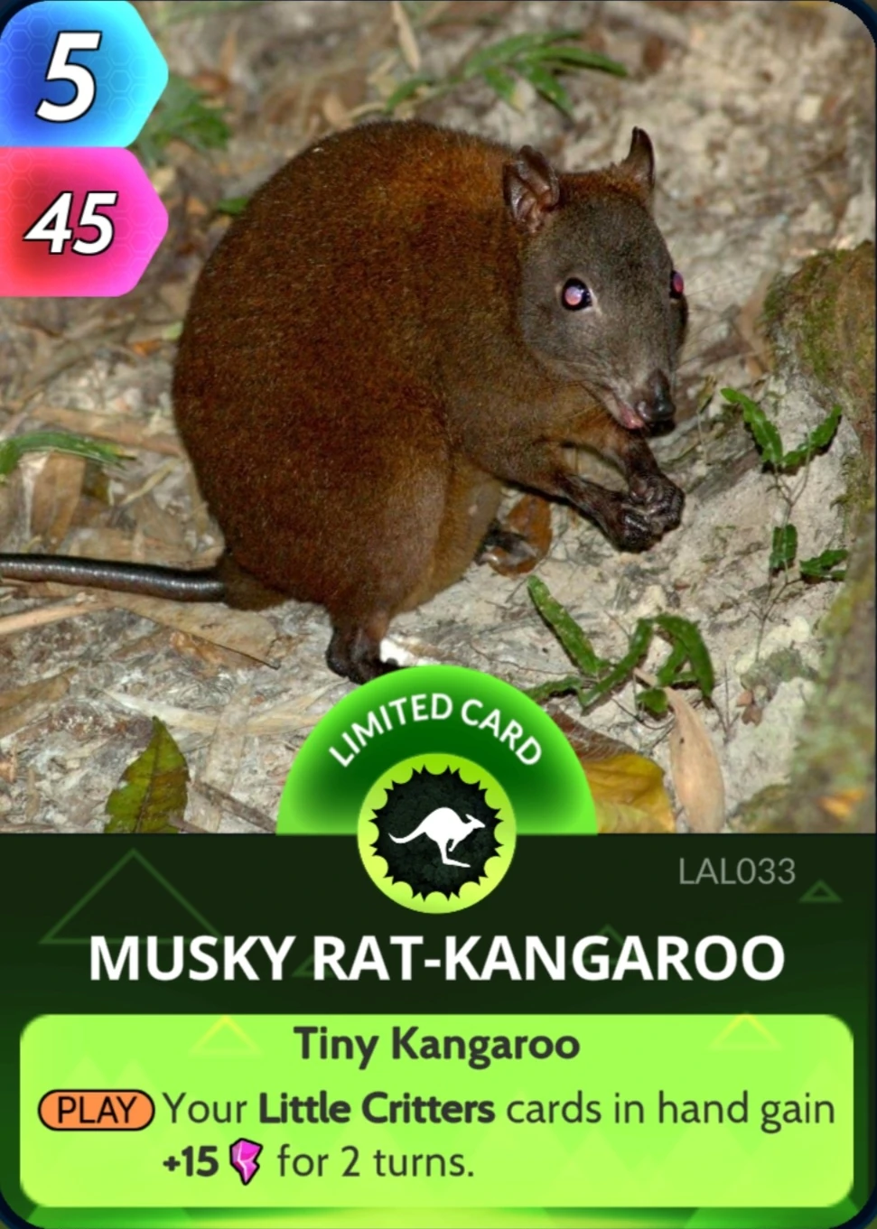 Musky Rat-Kangaroo | Cards, the Universe and Everything Wiki | Fandom