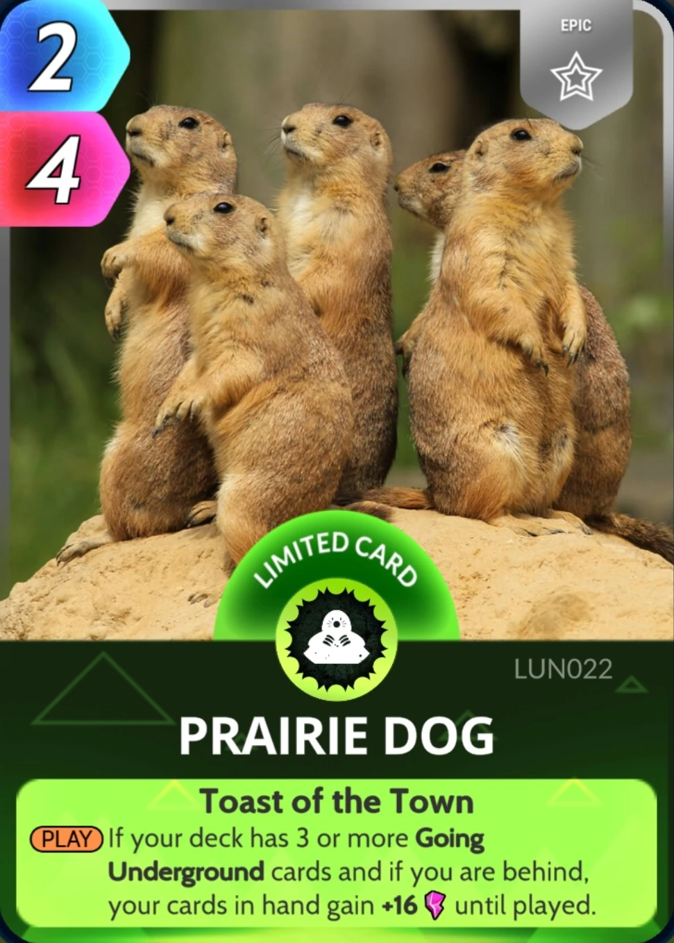 Prairie Dog | Cards, the Universe and Everything Wiki | Fandom