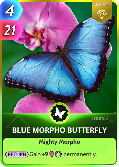 Blue Morpho Butterfly | Cards, the Universe and Everything Wiki | Fandom
