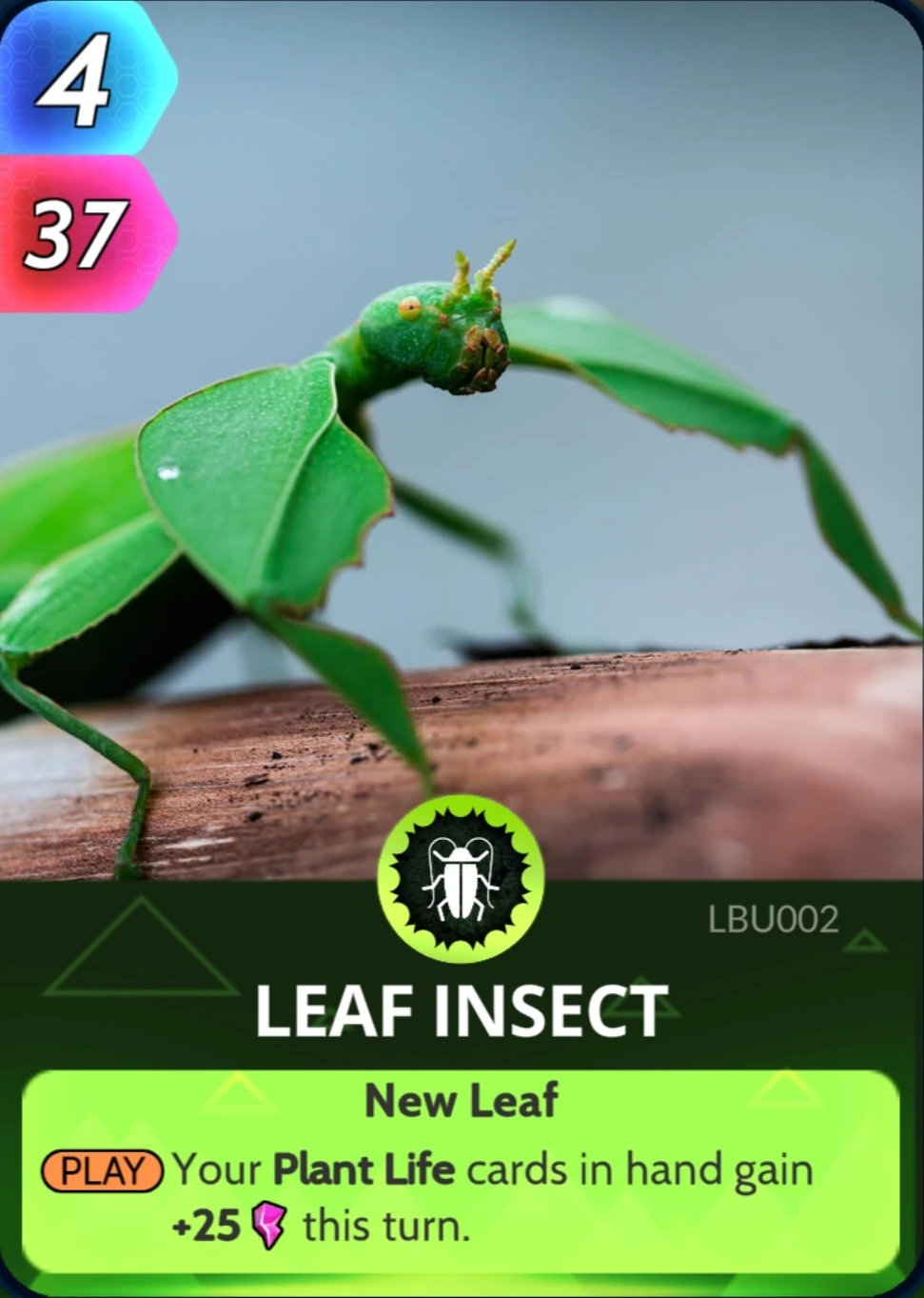 Leaf Insect | Cards, the Universe and Everything Wiki | Fandom