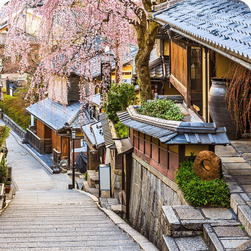 Kyoto | Cards, the Universe and Everything Wiki | Fandom