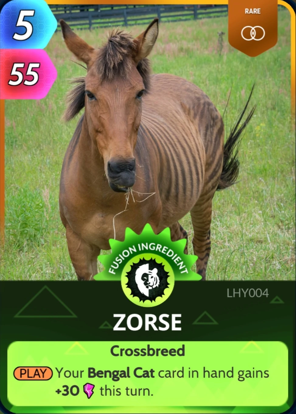 Zorse | Cards, the Universe and Everything Wiki | Fandom