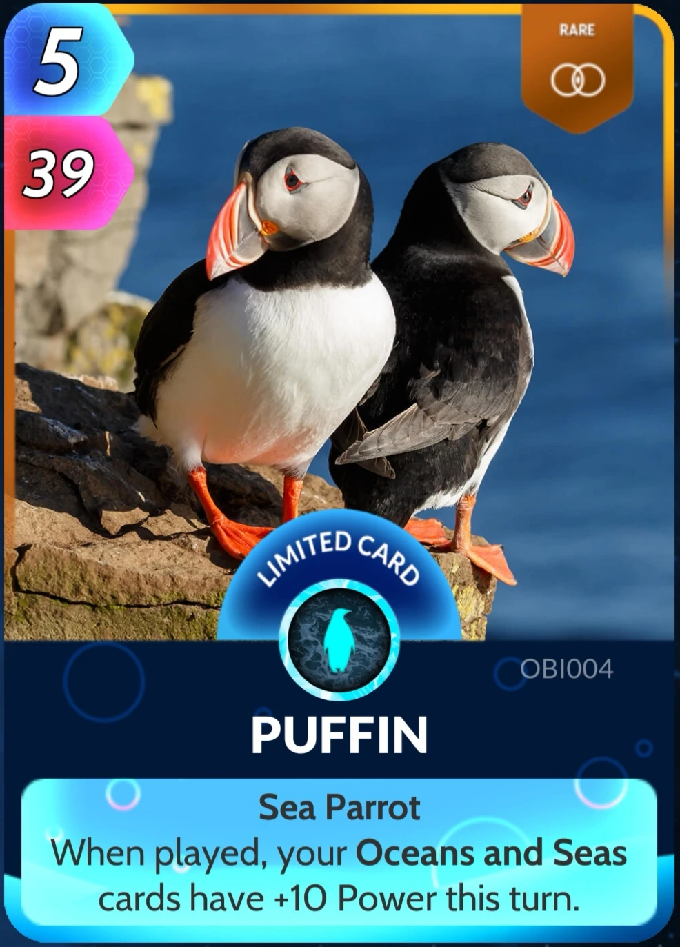 Puffin | Cards, the Universe and Everything Wiki | Fandom