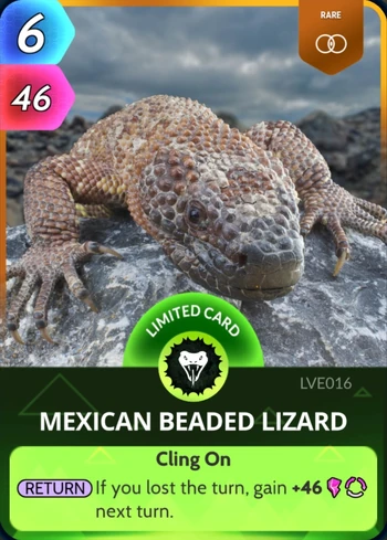 Mexican Beaded Lizard | Cards, the Universe and Everything Wiki | Fandom