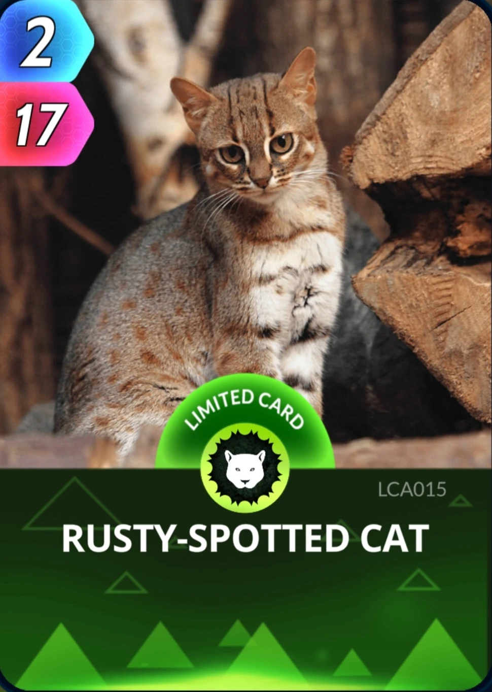 Rusty-Spotted Cat | Cards, the Universe and Everything Wiki | Fandom