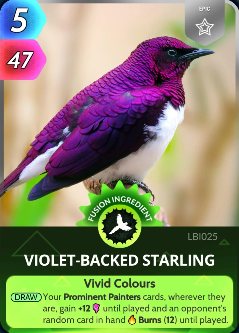 Violet-backed Starling | Cards, the Universe and Everything Wiki | Fandom