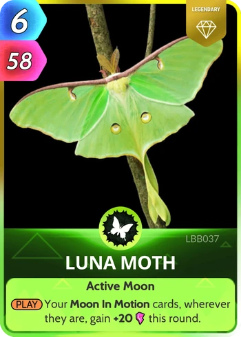 Luna Moth | Cards, the Universe and Everything Wiki | Fandom