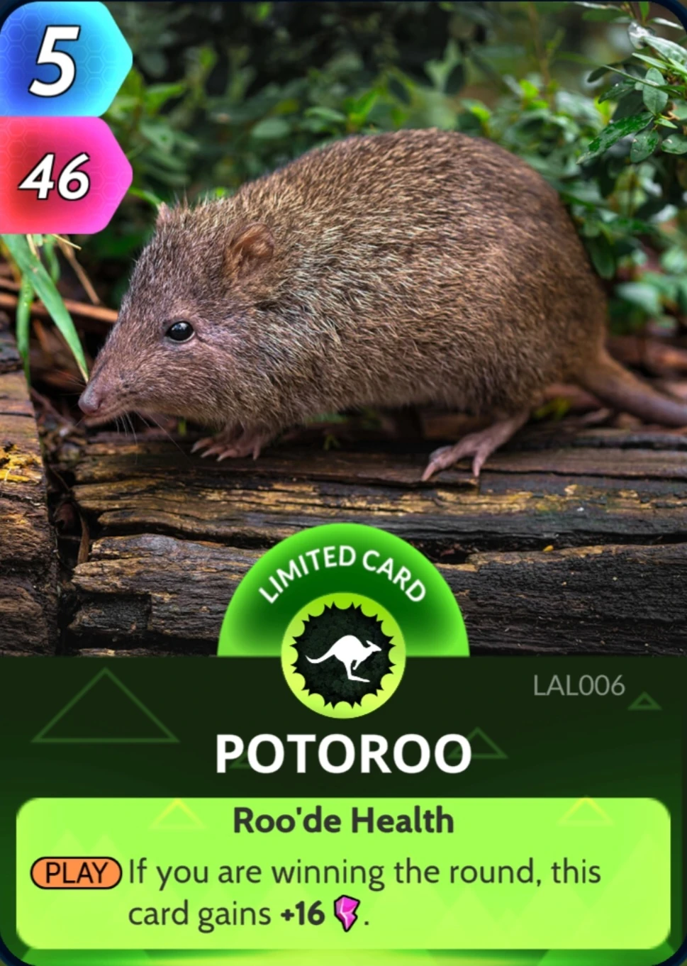 Potoroo | Cards, the Universe and Everything Wiki | Fandom