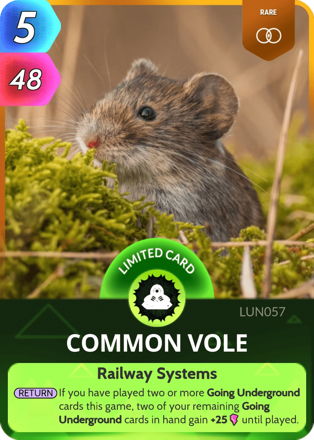 Common Vole | Cards, the Universe and Everything Wiki | Fandom