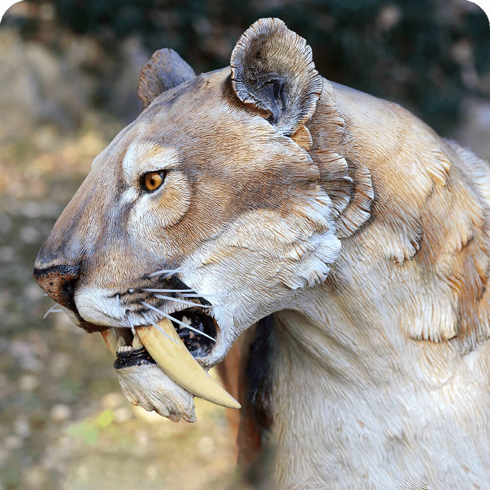 Smilodon | Cards, the Universe and Everything Wiki | Fandom